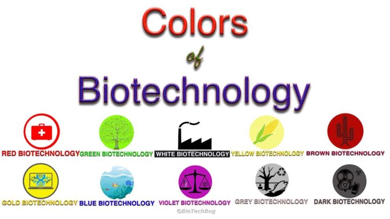 What Are The 12 Colors Of Biotechnology? - Students Room