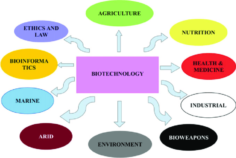 What Are The 12 Colors Of Biotechnology? - Students Room