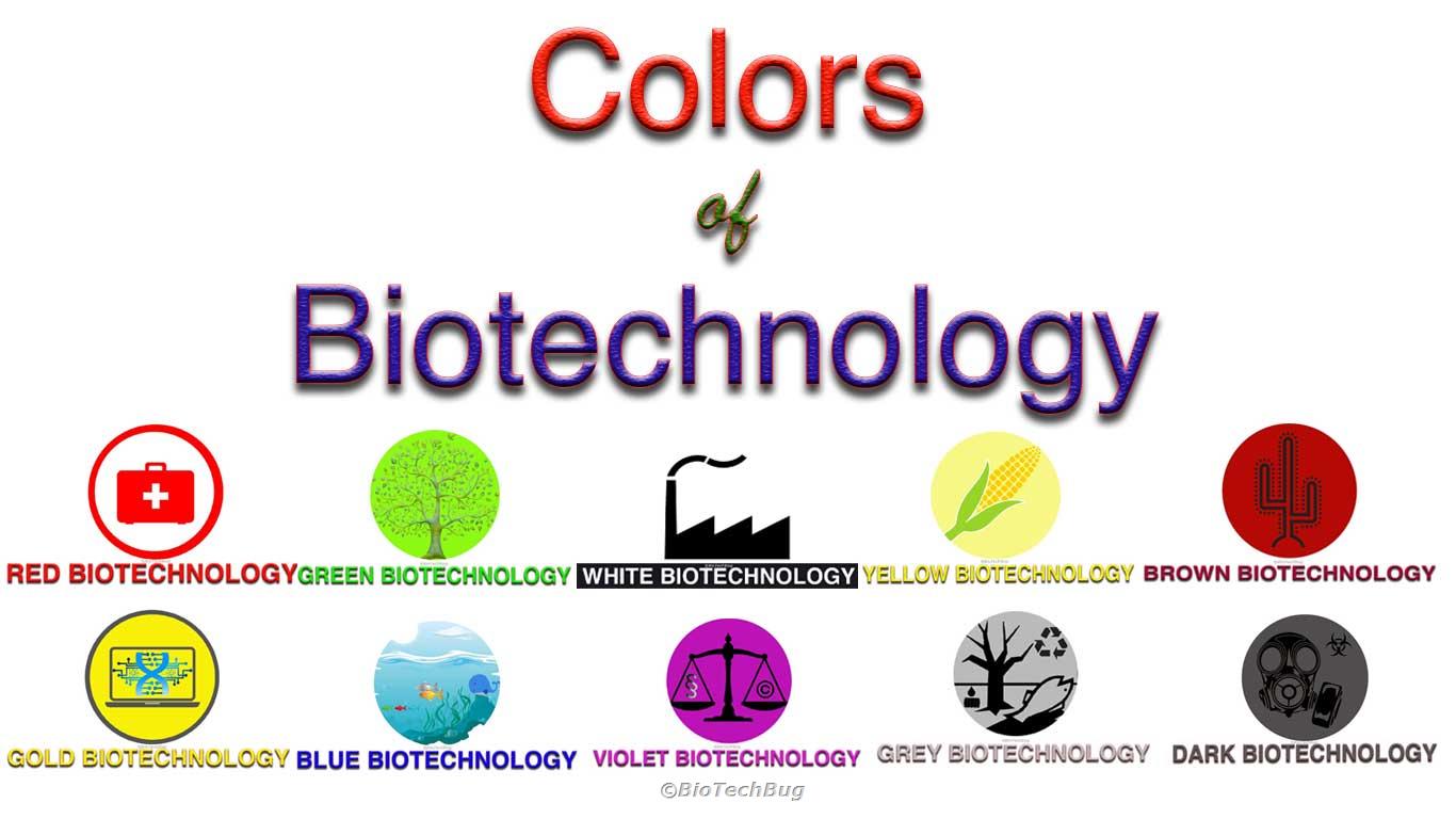 What Are The 12 Colors Of Biotechnology? - Students Room