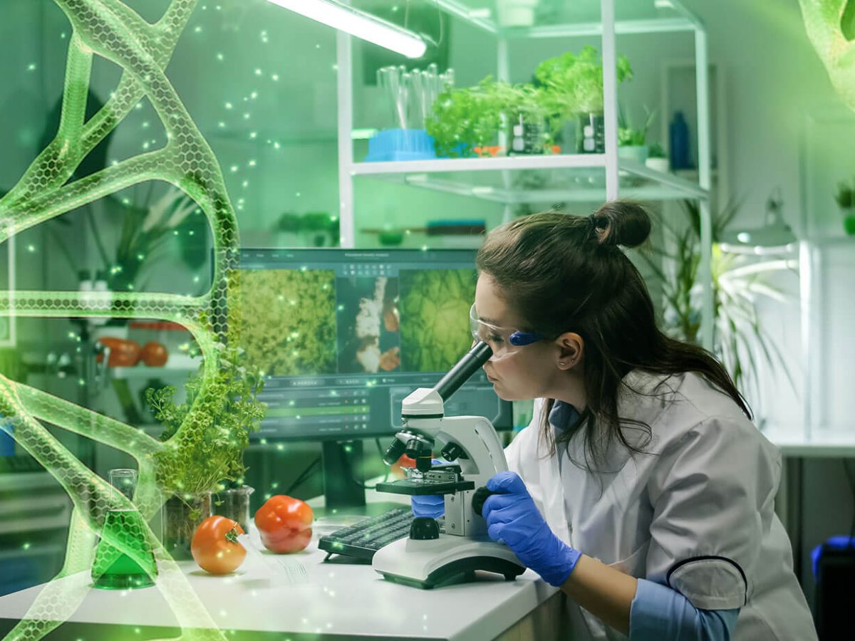 What Are The 4 Types of Biotechnology? - Students Room